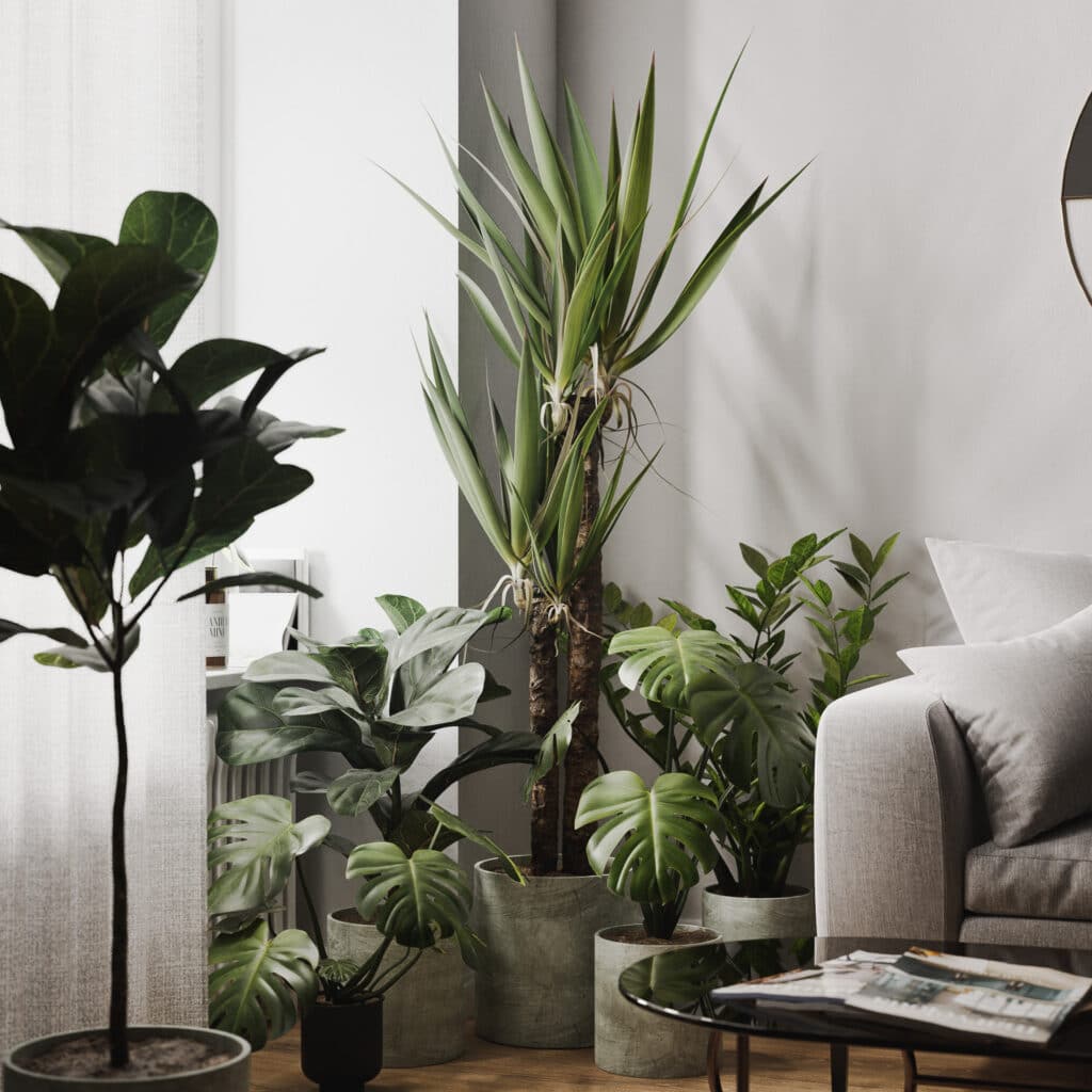 Full Plant Scene • iMeshh - 3D Model for Blender 4.0+