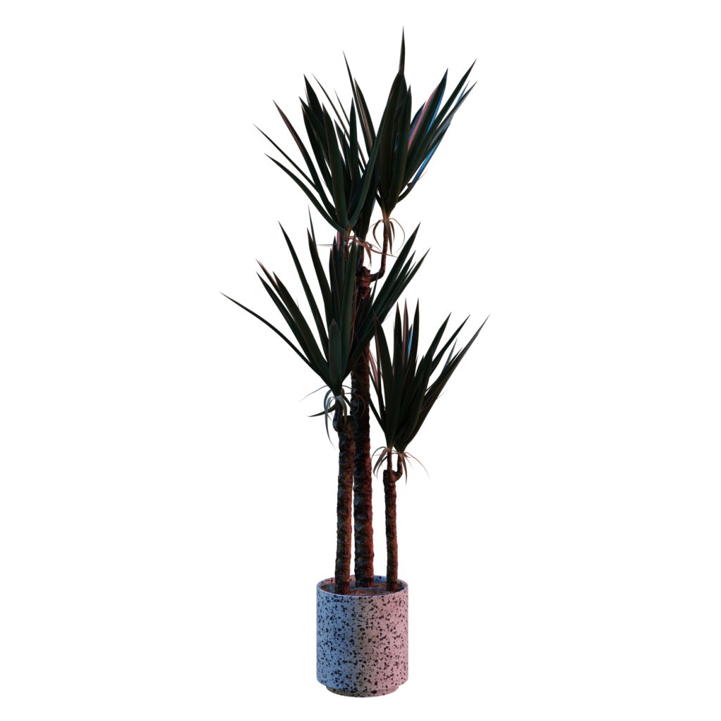Yukka Floor Plant 03 • iMeshh - 3D Model for Blender 4.0+