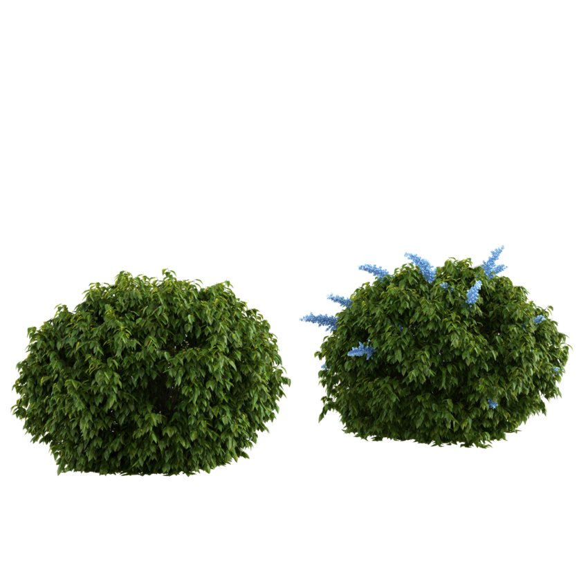 Bush with Flower 01 • iMeshh - 3D Model for Blender 4.0+