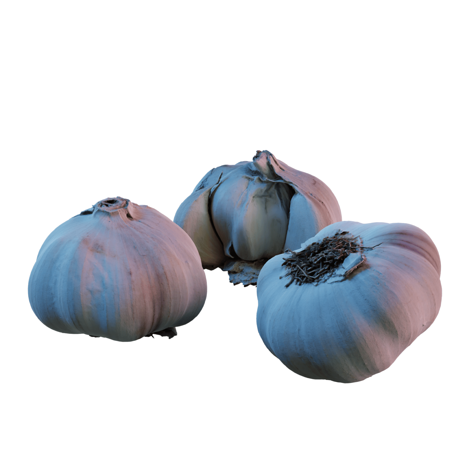 Garlic 01 3D Models for Blender • iMeshh 3D Model Library