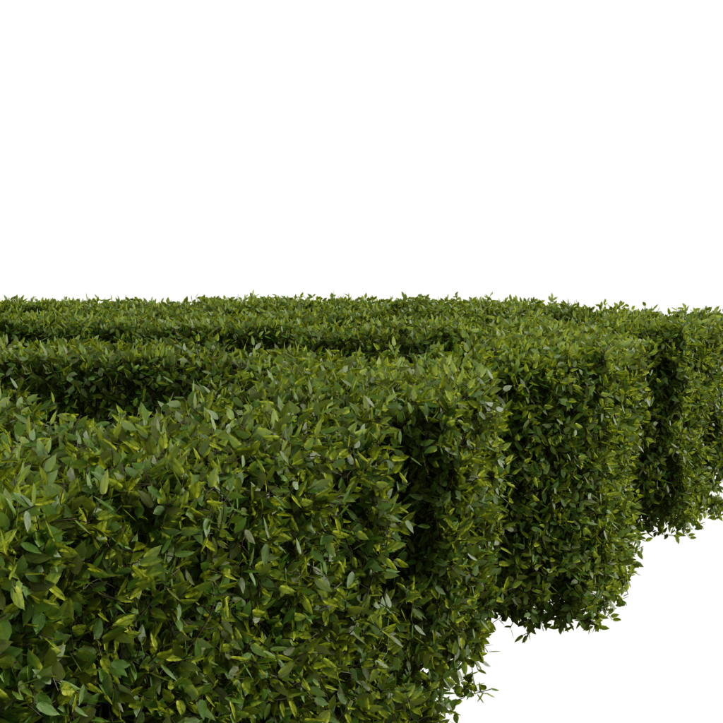 Cut Hedge 1m • iMeshh - 3D Model for Blender 4.0+