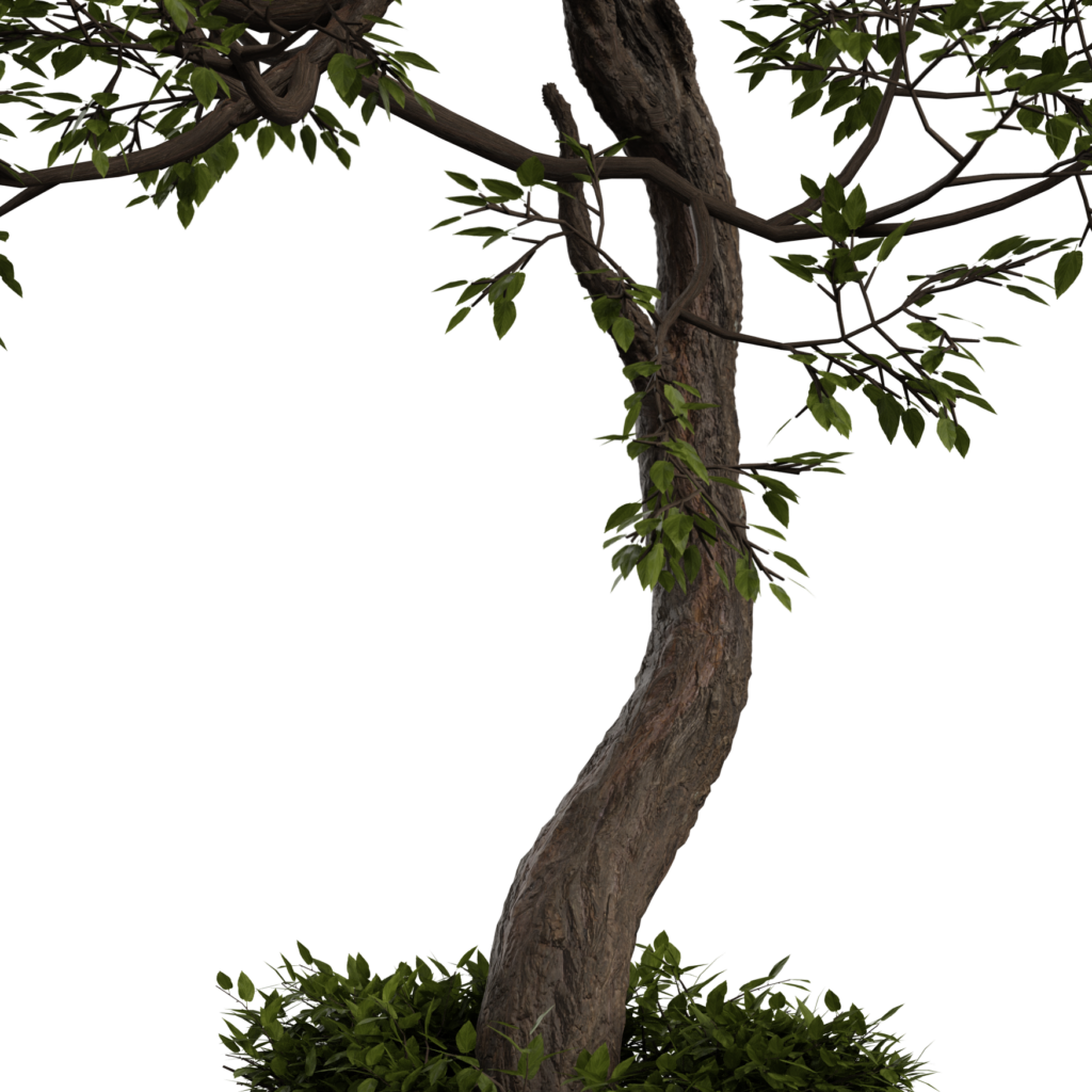 Curved Indoor Floor Tree 01 • iMeshh - 3D Model for Blender 4.0+